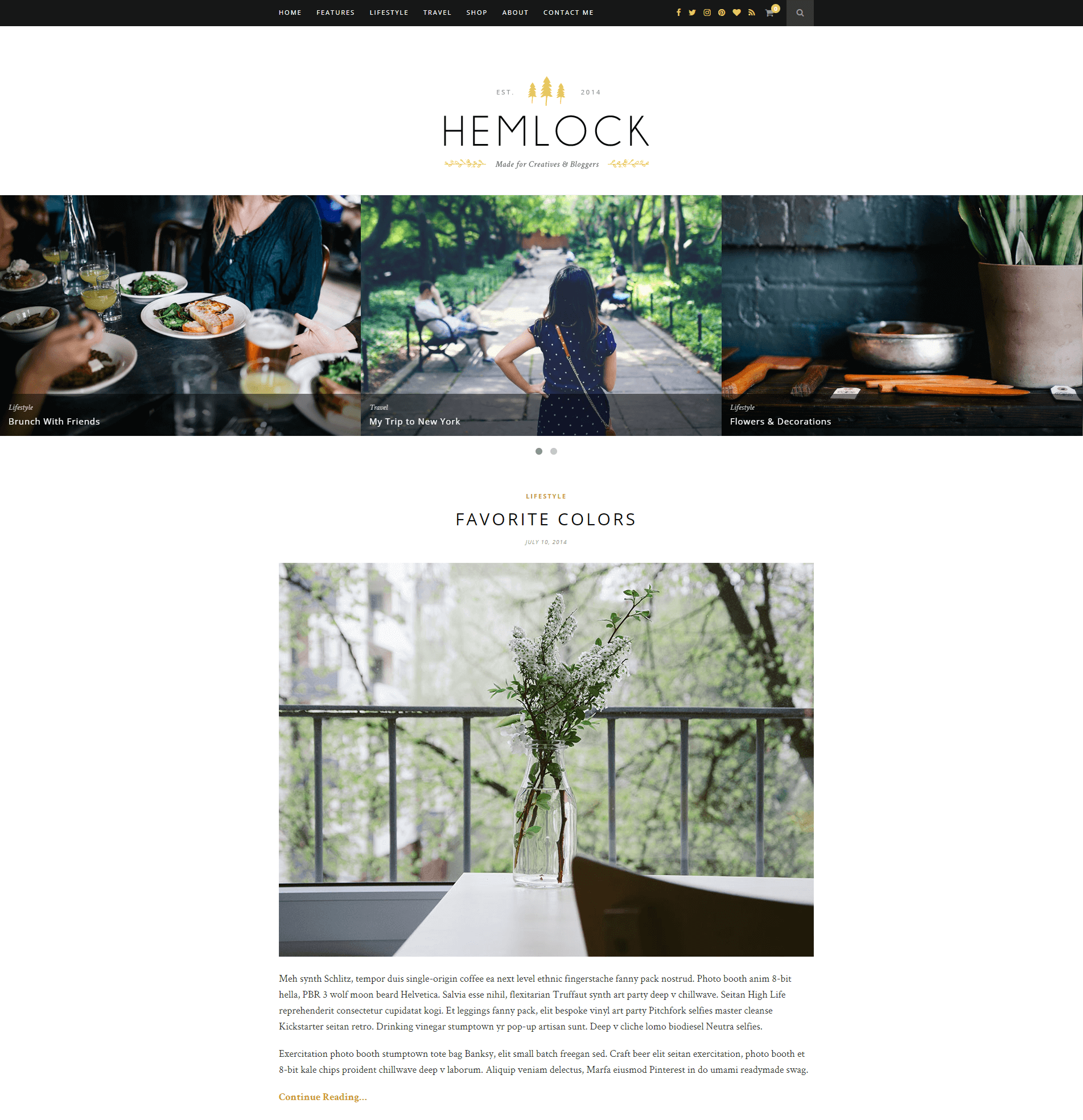 15+ best wordpress themes for writers (handpicked)