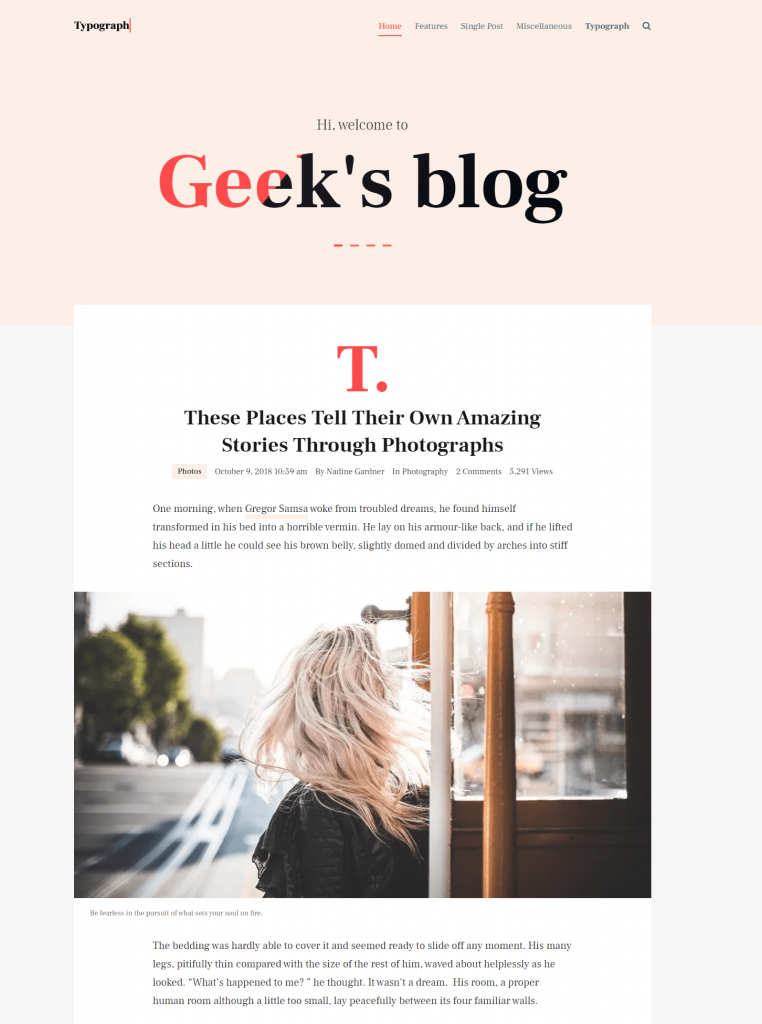15+ best wordpress themes for writers (handpicked)