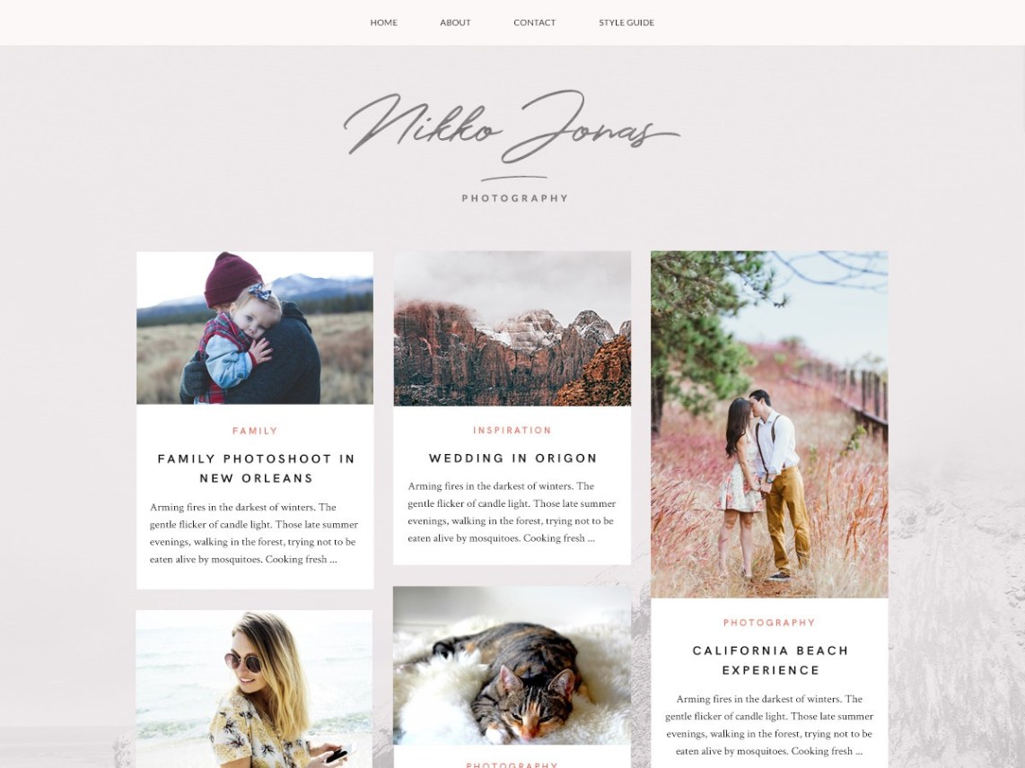 10+ Best Free WordPress Themes for Portfolio - Themebeez Blog