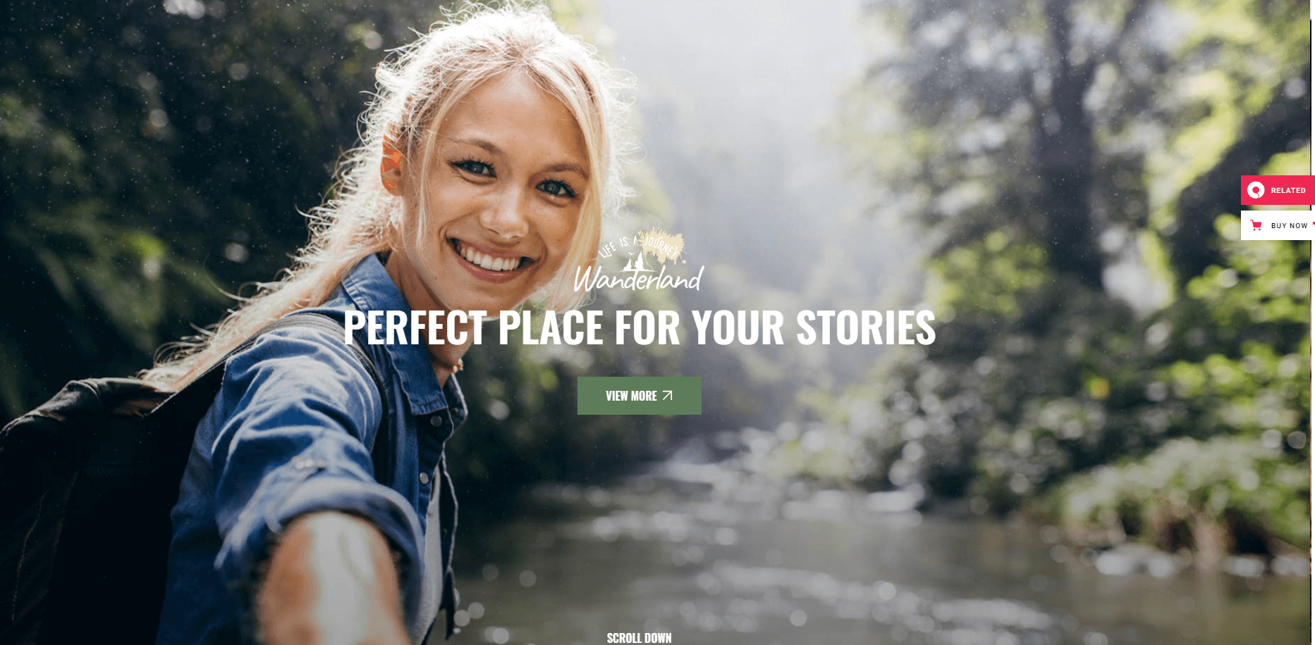 20+ Best WordPress Themes For Travel Blogs - Themebeez Blog