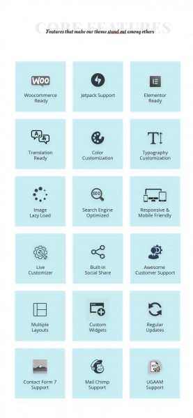 Fascinate Pro - WordPress Blog Theme